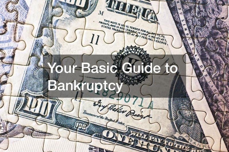 Your Basic Guide to Bankruptcy - Law Shucks